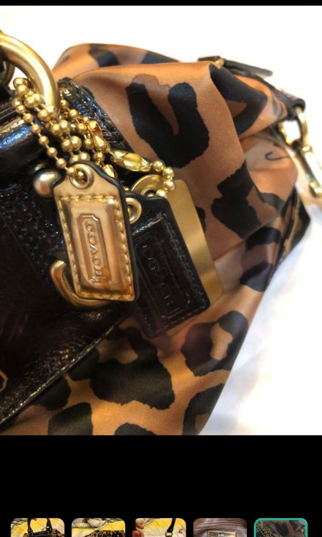 coach内标,oa正品内标,oagl(第14页)_大山谷图库