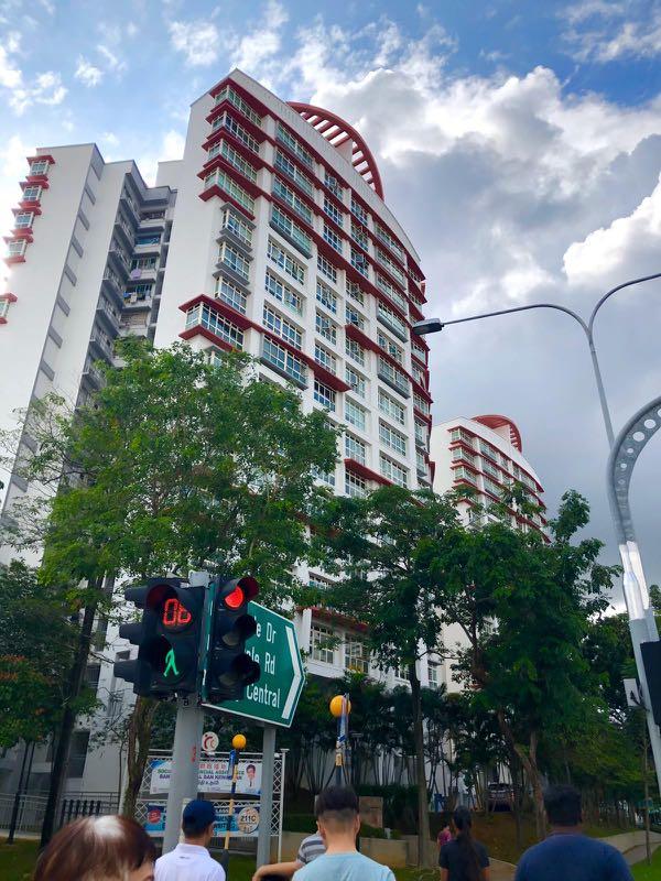 213a Compassvale Lane Compassvale Pearl, Property, Rentals, Room ...