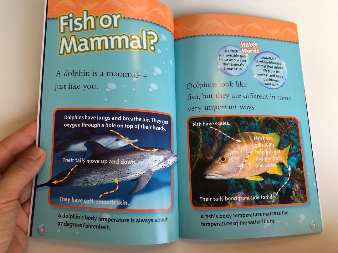 National Geographic Kids Readers: Dolphins (level 2), Hobbies & Toys ...