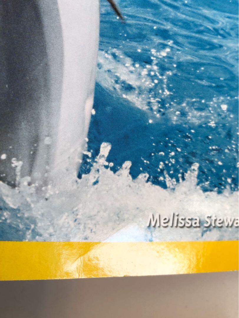 National Geographic Kids Readers: Dolphins (level 2), Hobbies & Toys ...