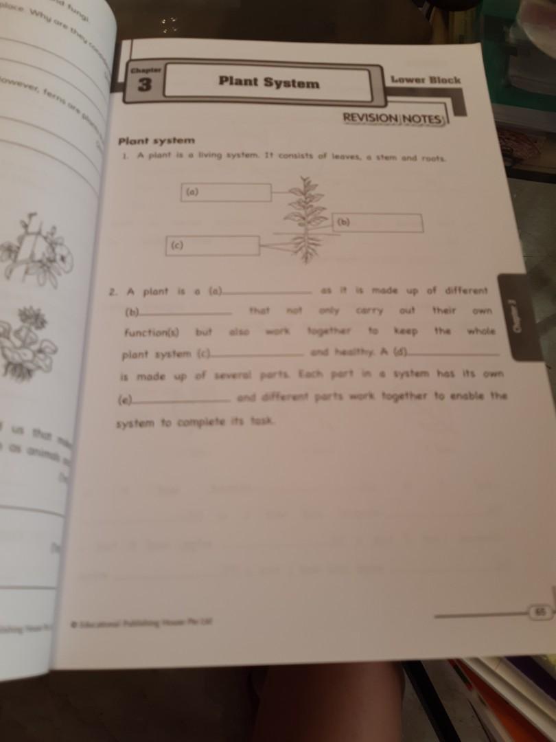 EPH Intensive PSLE Science P5 n P6 by Janet Sim, Hobbies & Toys, Books ...