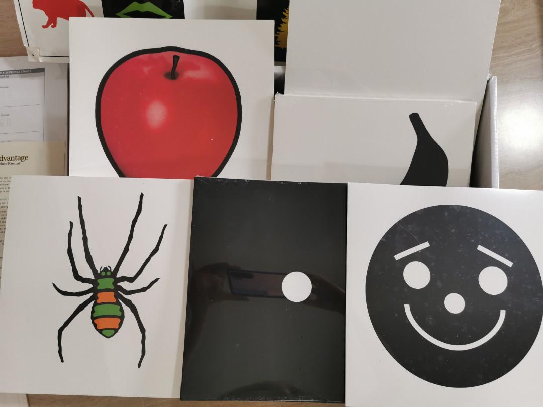 Glenn Doman Flash Cards (Newborn), Hobbies & Toys, Music & Media, CDs ...