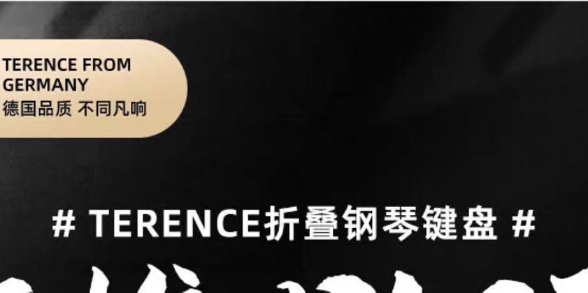 Terence 88-Key Professional Hand Roll Piano/Portable Folding Electric Piano, Hobbies & Toys ...