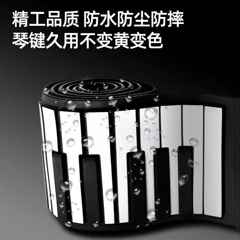 Terence 88-Key Professional Hand Roll Piano/Portable Folding Electric Piano, Hobbies & Toys ...