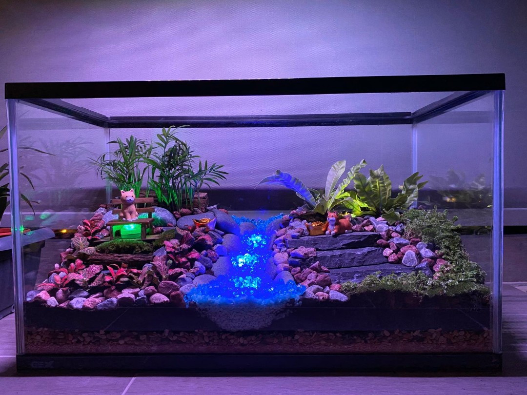 Terrarium with lighted river, Furniture & Home Living, Home Decor ...