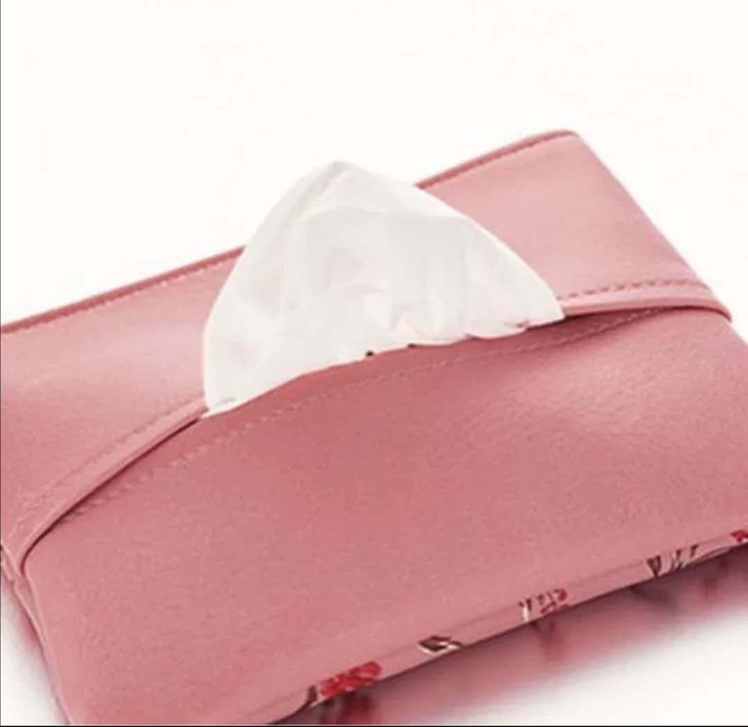 Tissue/petty cash/Makeup Pouch, Women's Fashion, Bags & Wallets, Purses ...