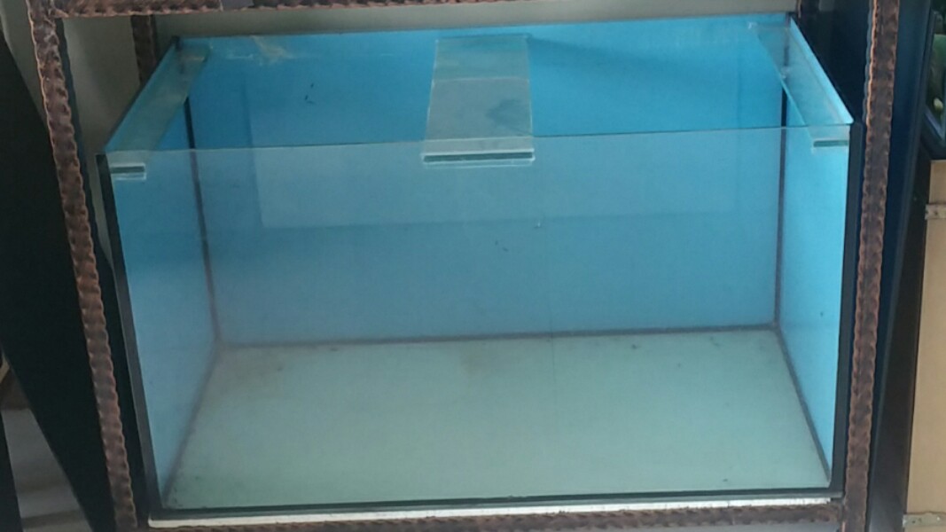 3feet by 1.5feet by 1.5feet fish tank, Pet Supplies, Homes & Other Pet ...