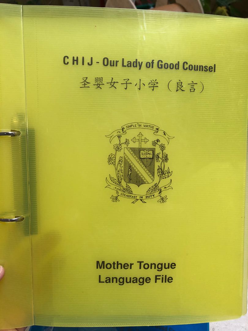 CHIJ OLGC SCHOOL RING FILES, Hobbies & Toys, Stationery & Craft ...