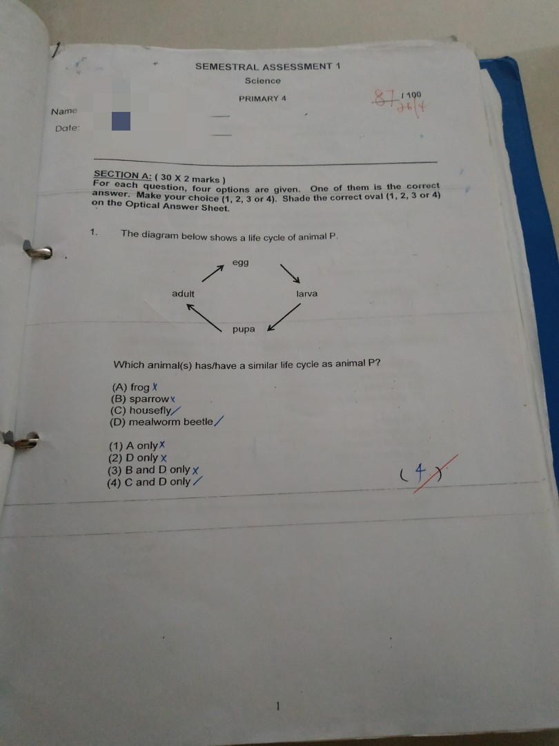 Primary 4 Science notes & worksheets, Hobbies & Toys, Books & Magazines ...