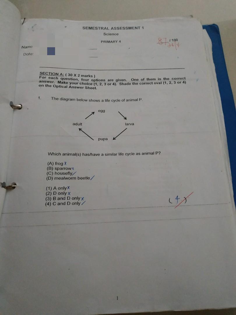 Primary 4 Science notes & worksheets, Hobbies & Toys, Books & Magazines ...