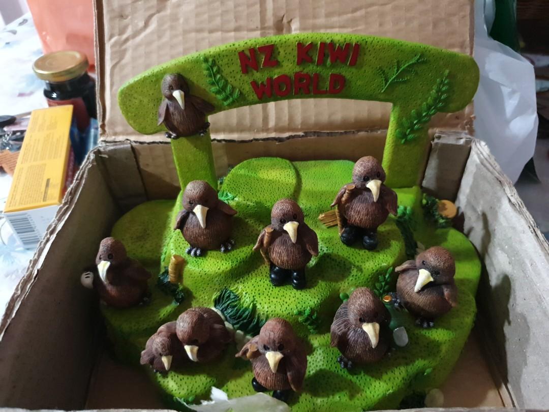 New Zealand Kiwi display, Furniture & Home Living, Home Improvement ...