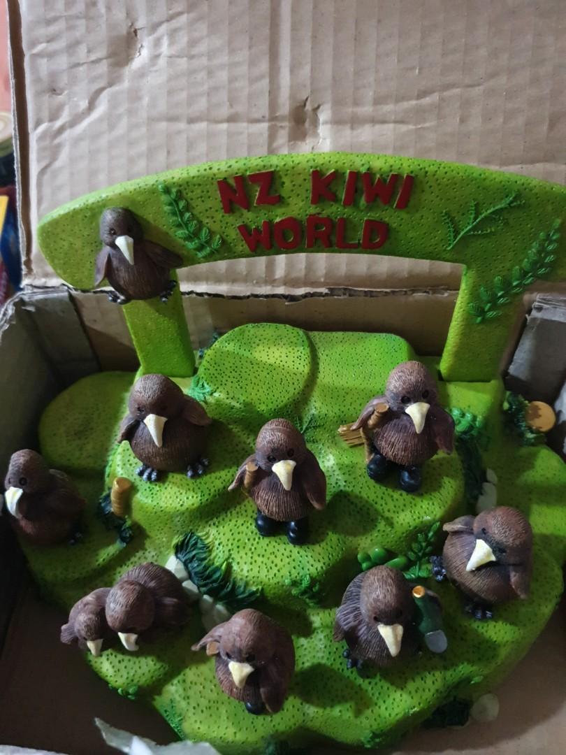 New Zealand Kiwi display, Furniture & Home Living, Home Improvement ...
