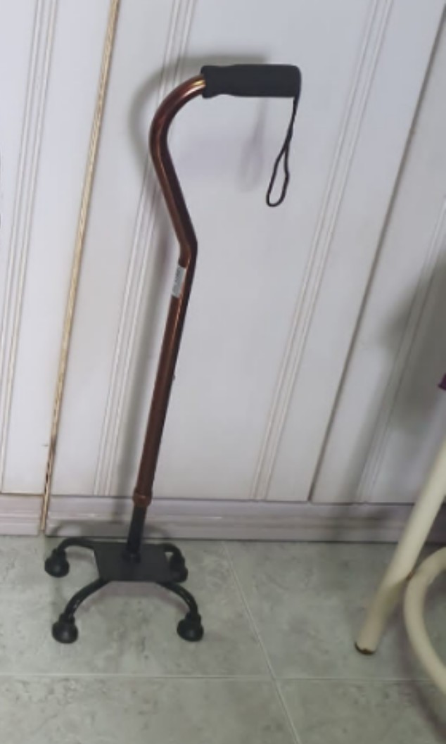 Walking Frame, Walking Stick, Pee Pan, Health & Nutrition, Assistive ...