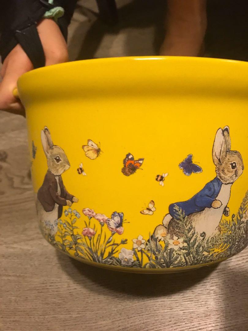 Peter Rabbit Clay pot, Furniture & Home Living, Kitchenware & Tableware ...