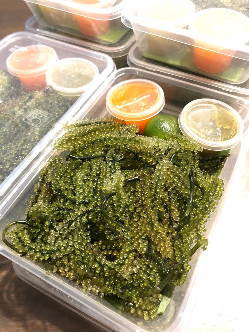 Sea grapes seaweed/ green caviars/latok, Food & Drinks, Fresh Produce ...