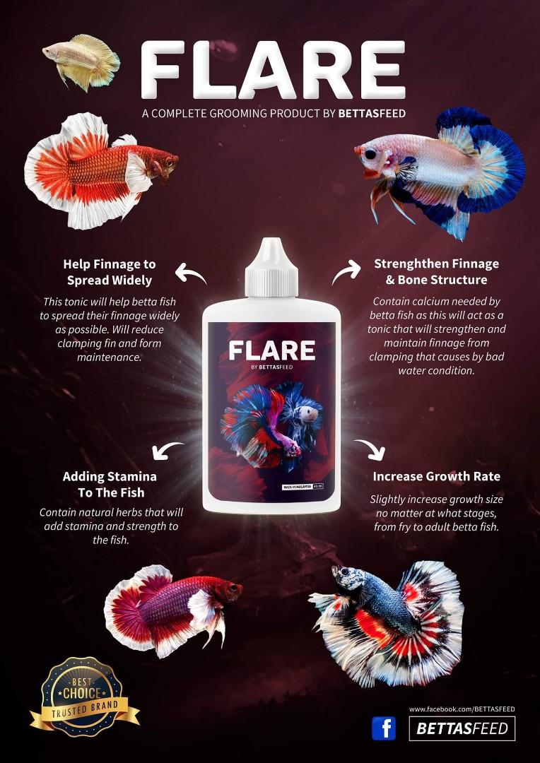 FLARE, Pet Supplies, For Fish, Fish Tank Accessories on Carousell