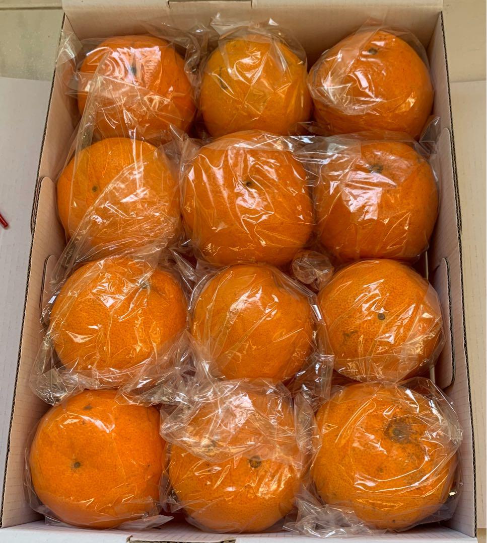 Taiwan Ponkan 70mm 12pc Gift Set, Food & Drinks, Local Eats on Carousell