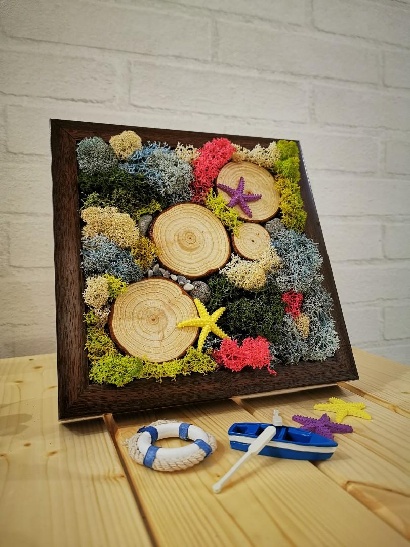 HOT DEAL!! STOCK CLEARANCE!! 3D Moss Art Photoframe with Preserved Moss ...