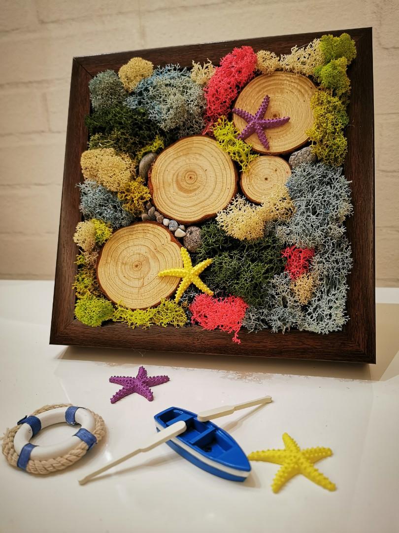 HOT DEAL!! STOCK CLEARANCE!! 3D Moss Art Photoframe with Preserved Moss ...