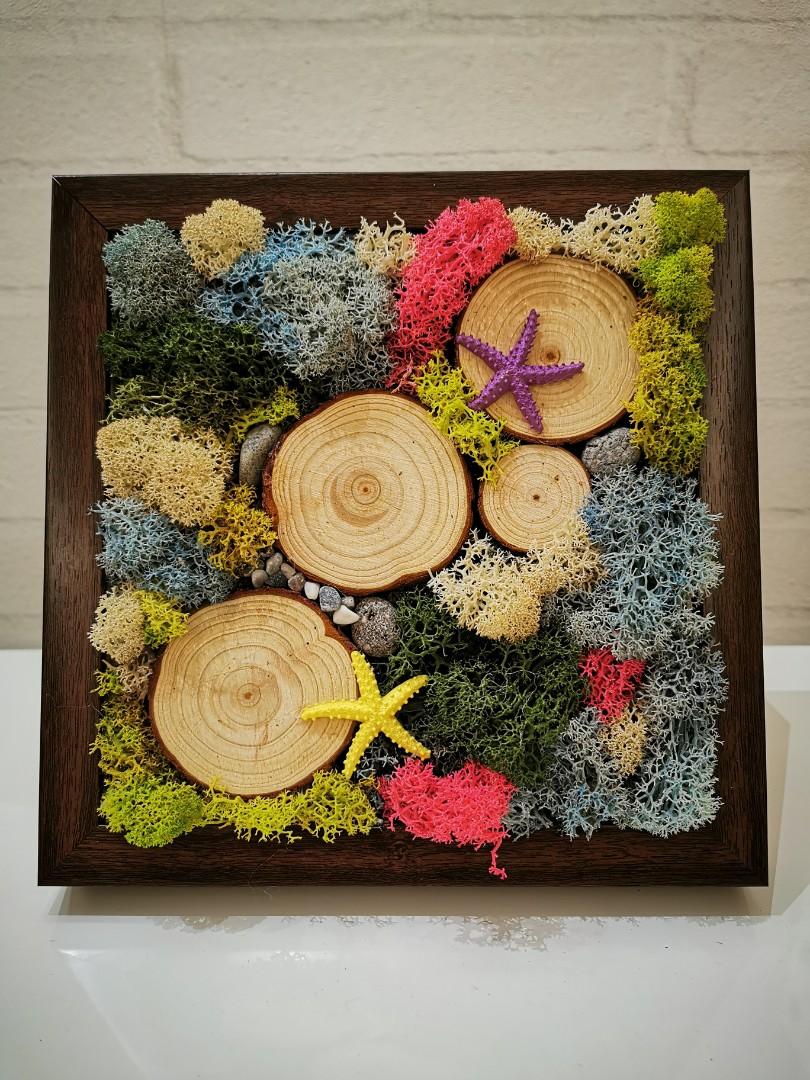 HOT DEAL!! STOCK CLEARANCE!! 3D Moss Art Photoframe with Preserved Moss ...