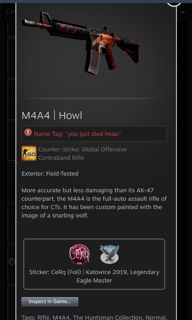Csgo M4A4 Howl FT 0.17 fv low float, Video Gaming, Gaming Accessories, Game Gift Cards ...