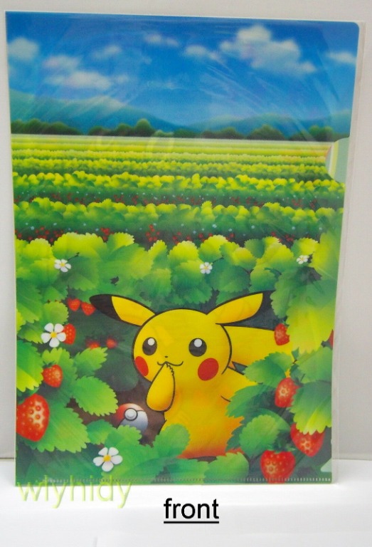 Pokemon Pikachu A4 Size Folder Japan Limited set B, 1pc Only, 興趣及遊戲, 手作 ...