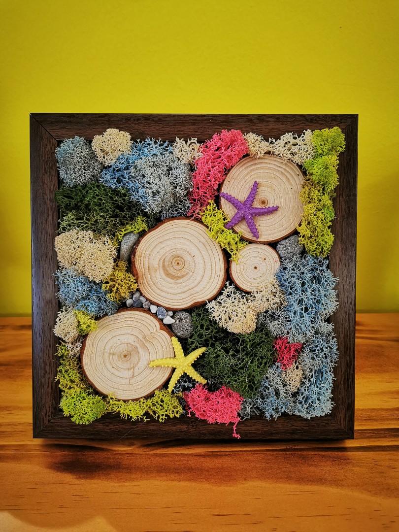 HOT DEAL!! STOCK CLEARANCE!! 3D Moss Art Photoframe with Preserved Moss ...