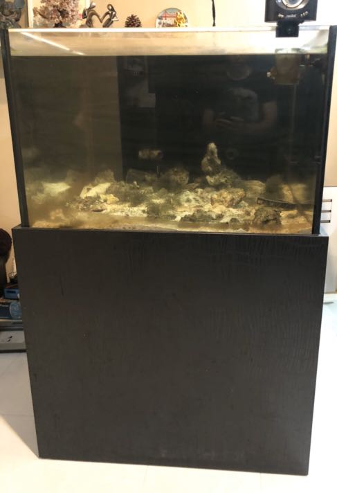 3ft x 3ft x 2ft 12mm thick crystal glass tank, Pet Supplies, Homes ...