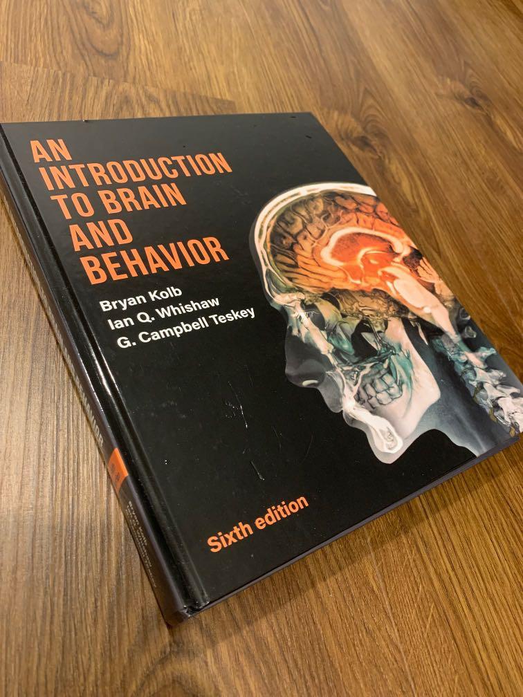 An Introduction to Brain and Behaviour Sixth Edition, Hobbies & Toys ...