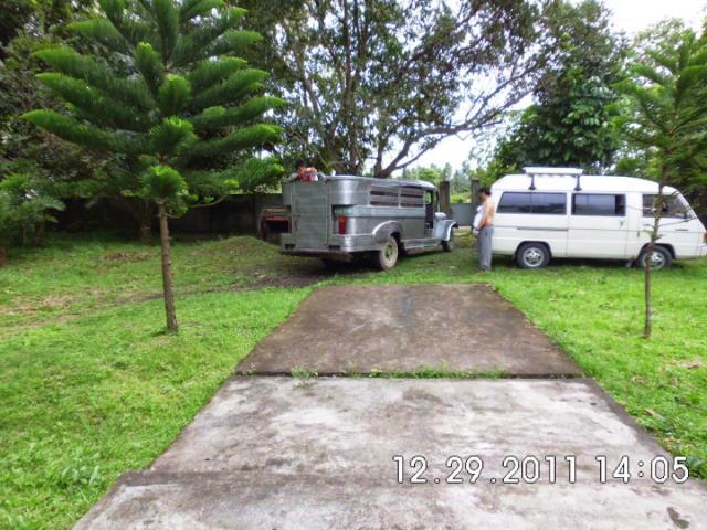 Farm lot in malabanban sur quezon province near candelaria bypass road ...