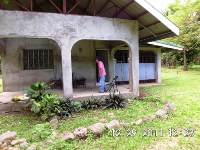 Farm lot in malabanban sur quezon province near candelaria bypass road ...
