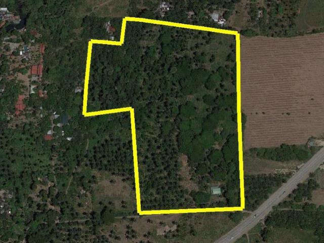 Farm lot in malabanban sur quezon province near candelaria bypass road ...