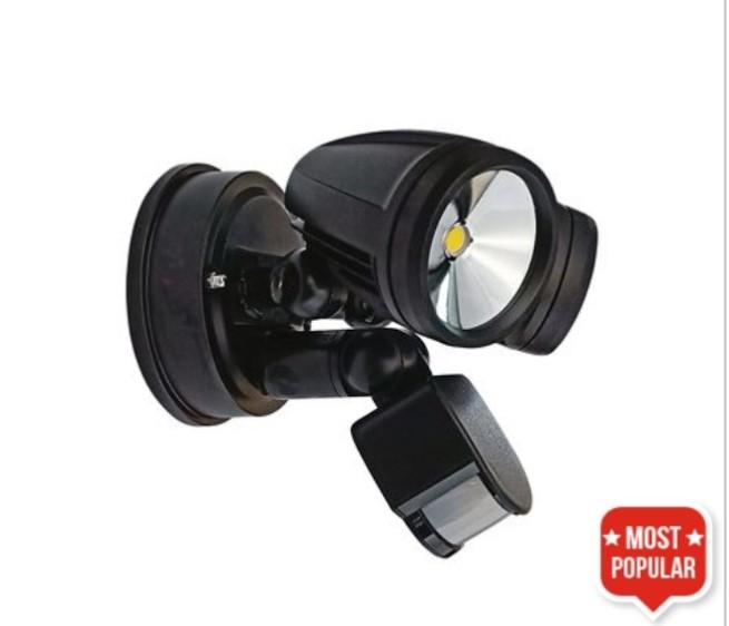 Lightway 20 Watts AC 220V PIR Motion Sensor Security Light Floodlight ...