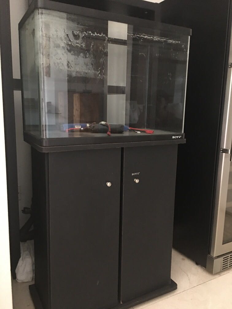 Fish tank for free, Pet Supplies, Homes & Other Pet Accessories on ...