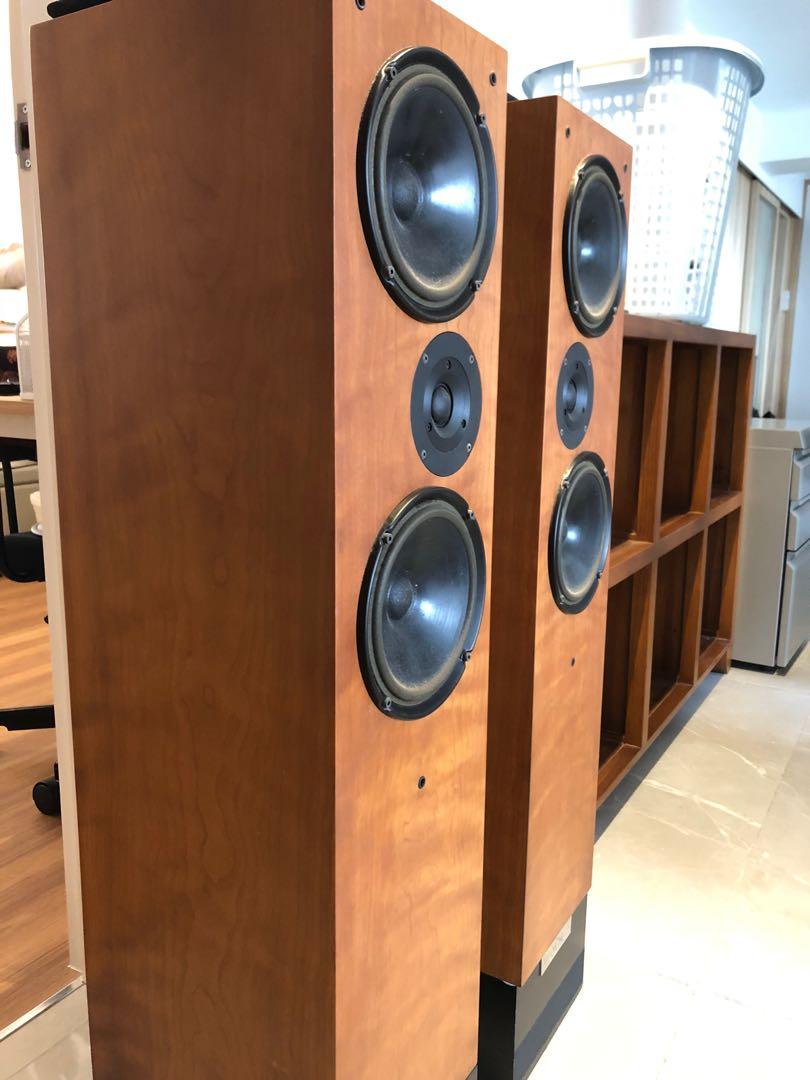 living voice auditorium 2 speakers, Audio, Other Audio Equipment on ...