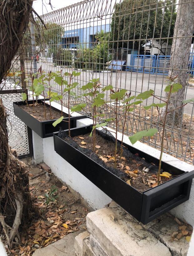 Modern Aluminium Flower Planter box , Urban Garden, Vegetable farming ...