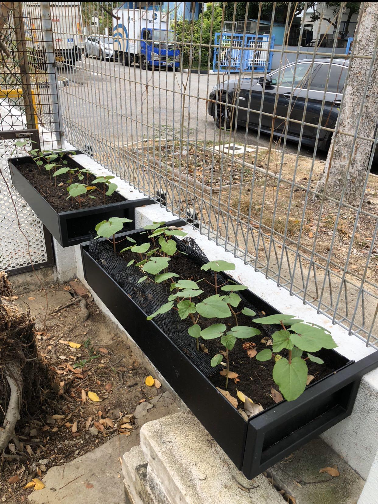 Modern Aluminium Flower Planter box , Urban Garden, Vegetable farming ...