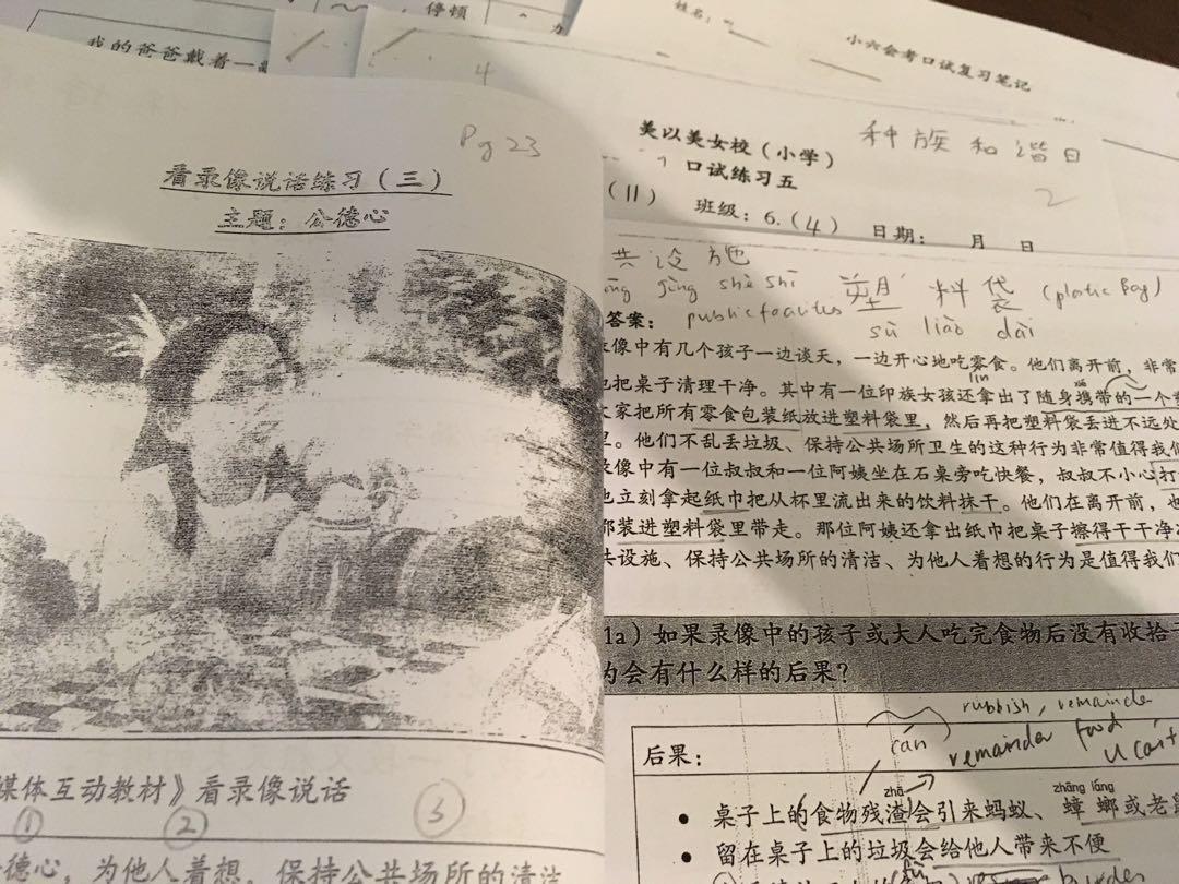PSLE chinese oral notes and books, Hobbies & Toys, Books & Magazines ...