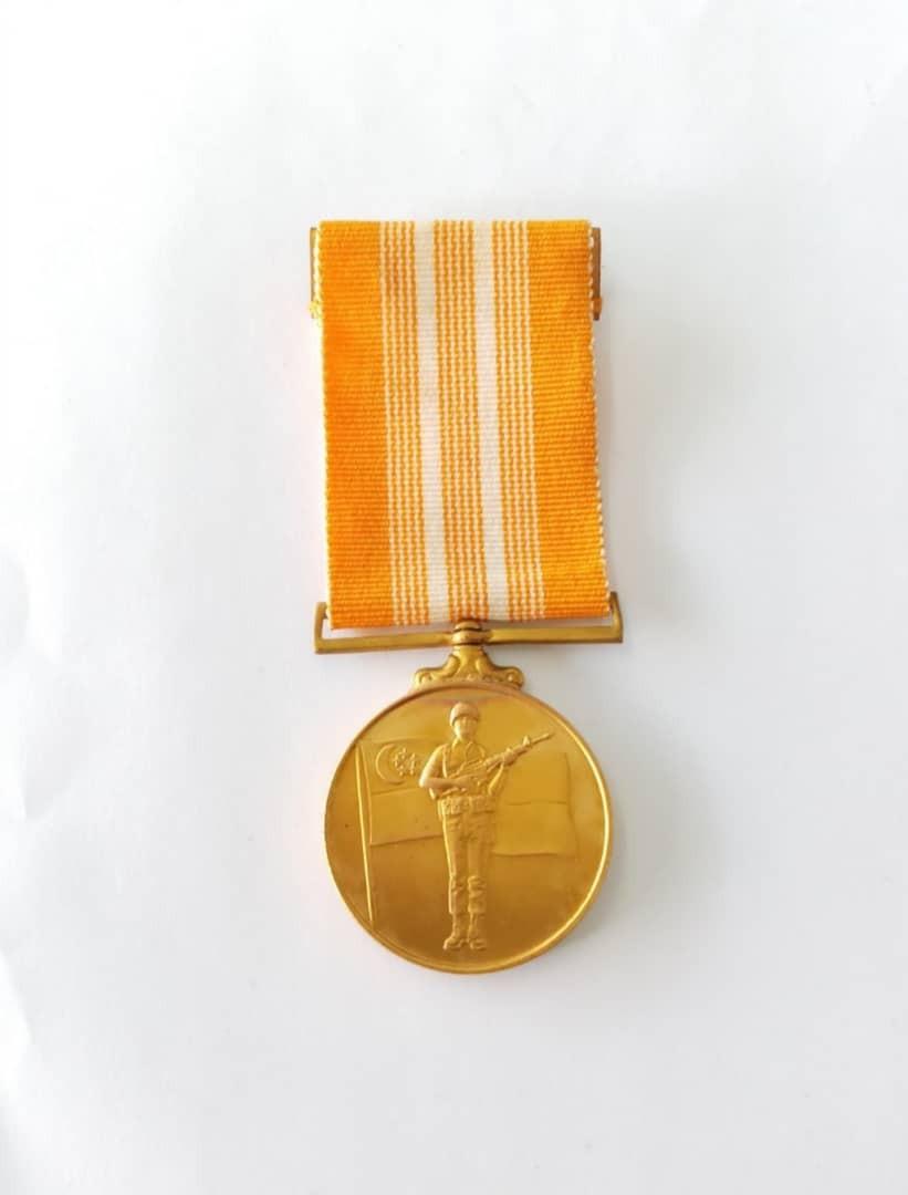 SAF Good service Award Gold Medal Singapore, Hobbies & Toys ...