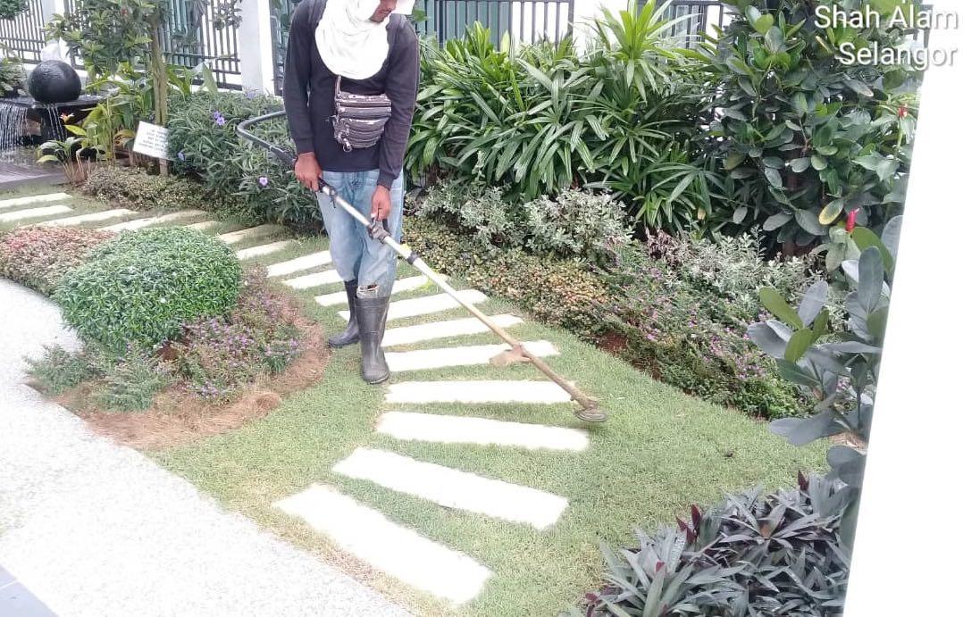 Servis Potong rumput dan kemas halaman rumah anda, Services, Others on ...