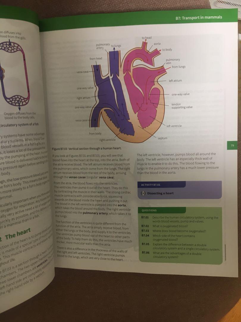 Cambridge Igcse Combined And Co Ordinated Sciences Coursebook Hobbies And Toys Books And Magazines