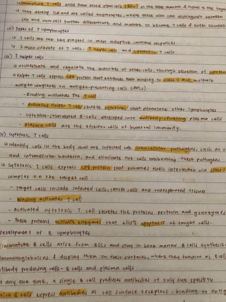 h2 bio personal summary/cheat sheets, Hobbies & Toys, Books & Magazines ...