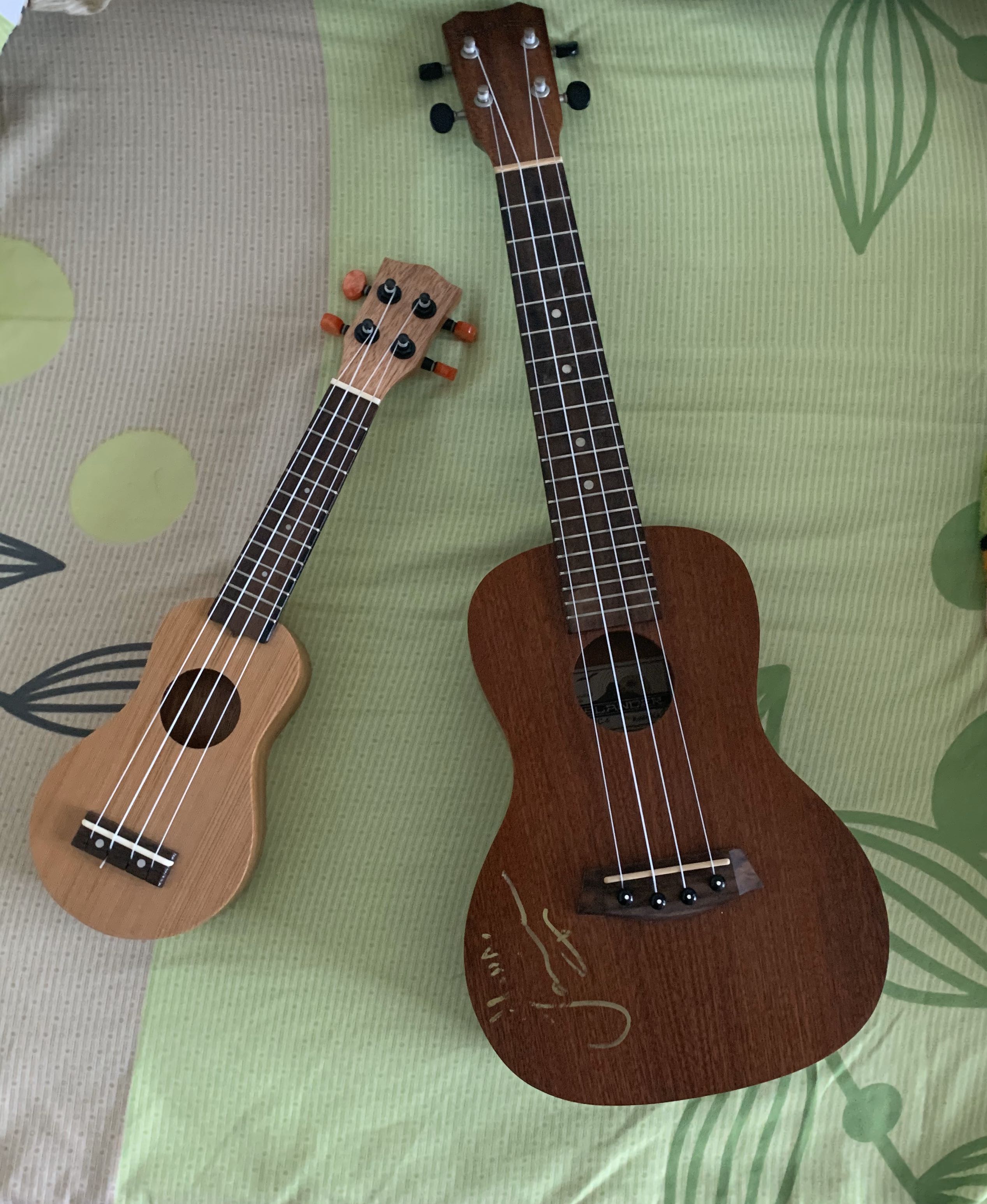 16 inch 16” Pocket Travel Ukulele, Hobbies & Toys, Music & Media ...