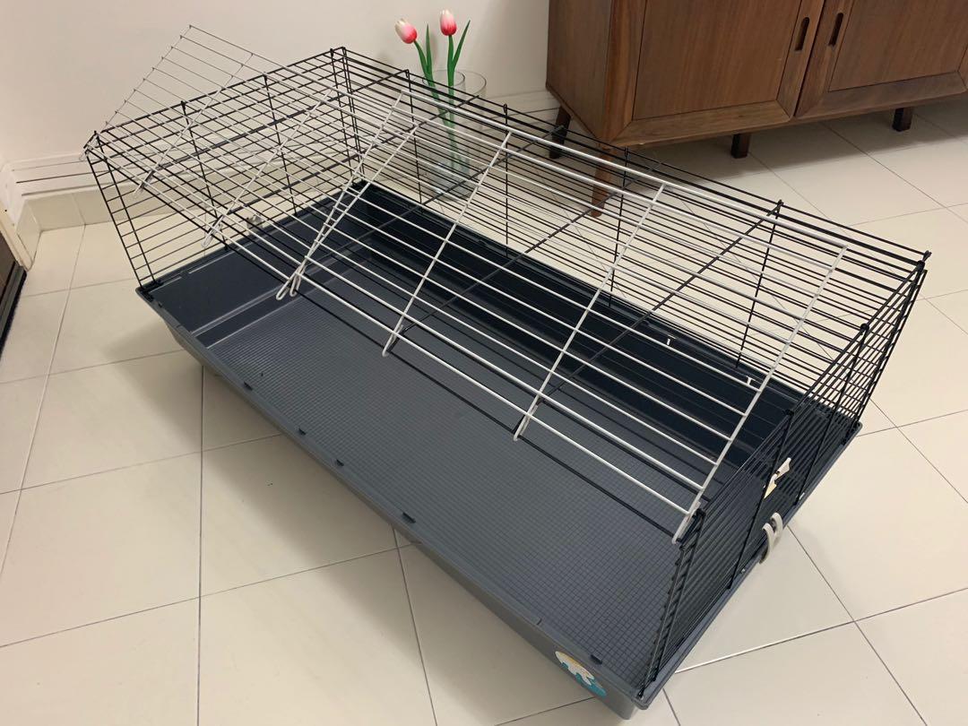 Rabbit/Guinea Pig Hatch, Pet Supplies, Homes & Other Pet Accessories on ...