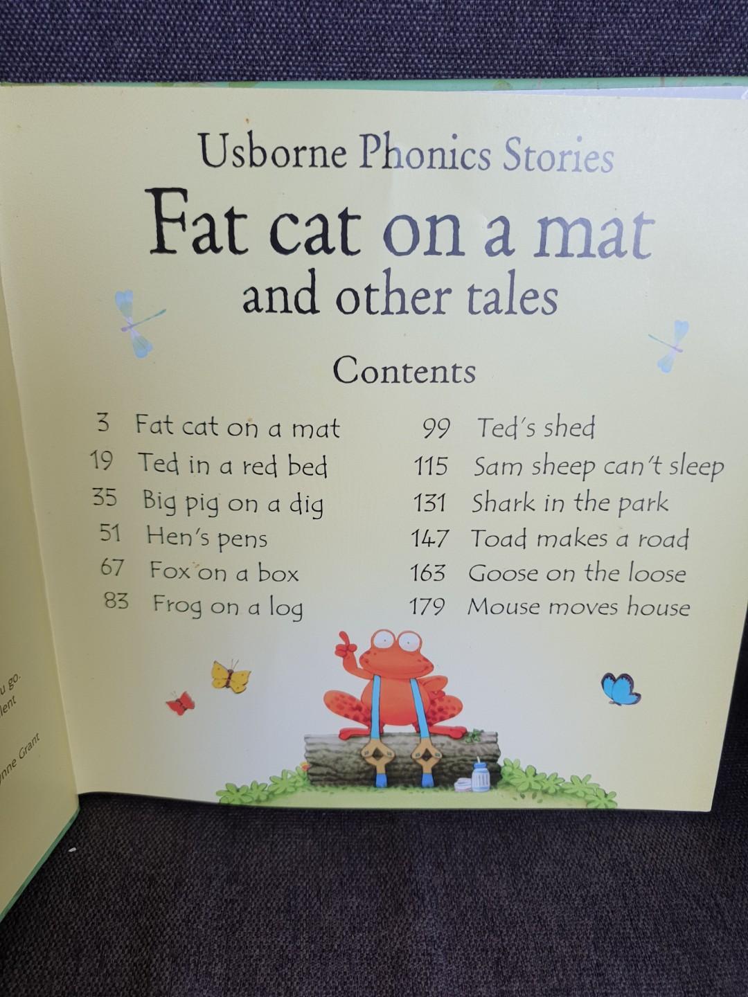 Usborne Phonics Stories- Fat Cat on a Mat & Other Tales, Hobbies & Toys ...