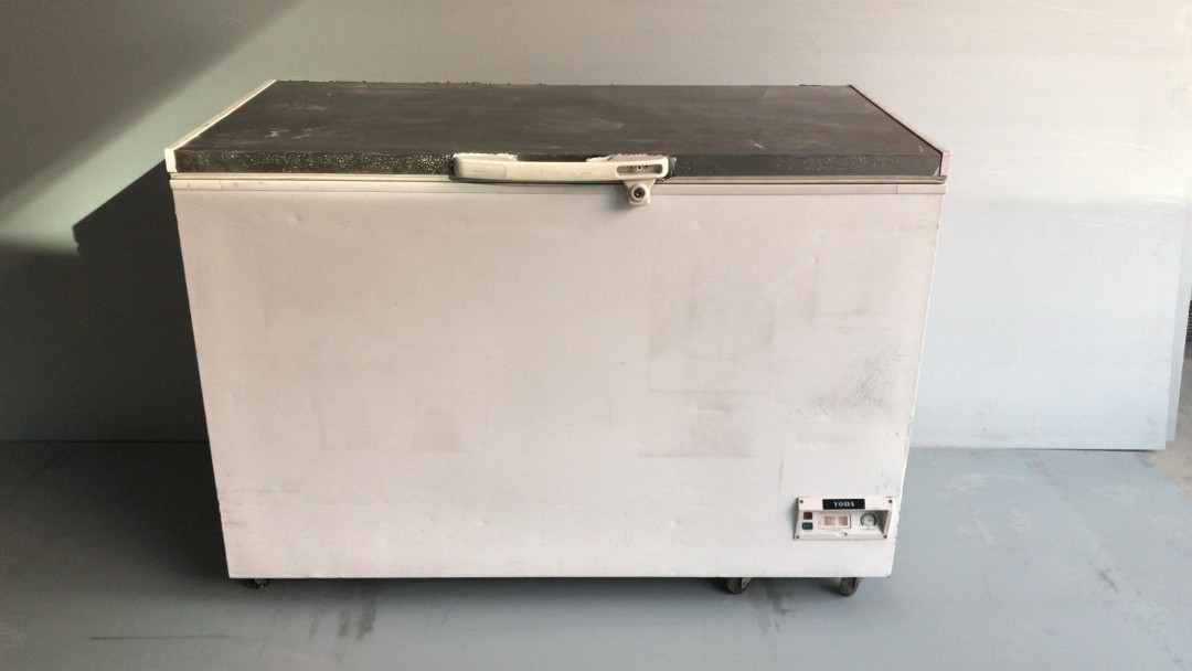 Chest Freezer, TV & Home Appliances, Kitchen Appliances, Refrigerators ...