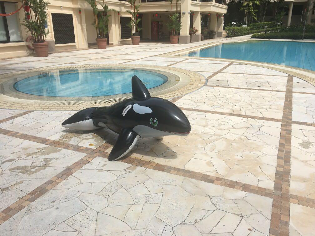 Inflatable orca free, Babies & Kids, Infant Playtime on Carousell