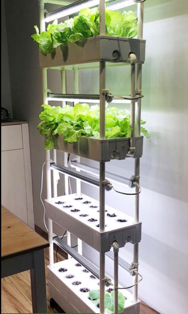 Multi tier hydroponics planting rack with led and pump system ...