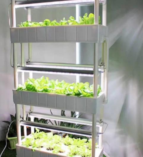 Multi tier hydroponics planting rack with led and pump system ...