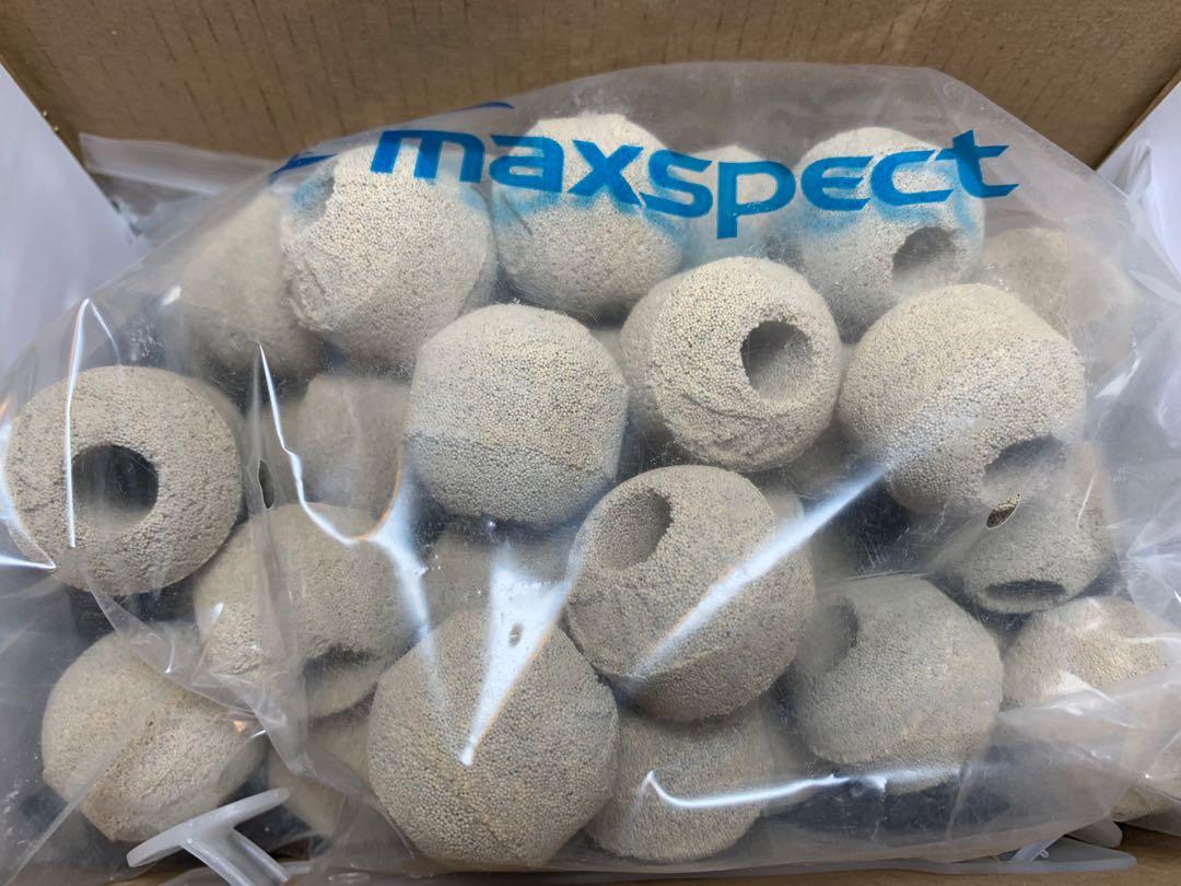 Maxspect Biosphere, Furniture & Home Living, Gardening, Plants & Seeds ...